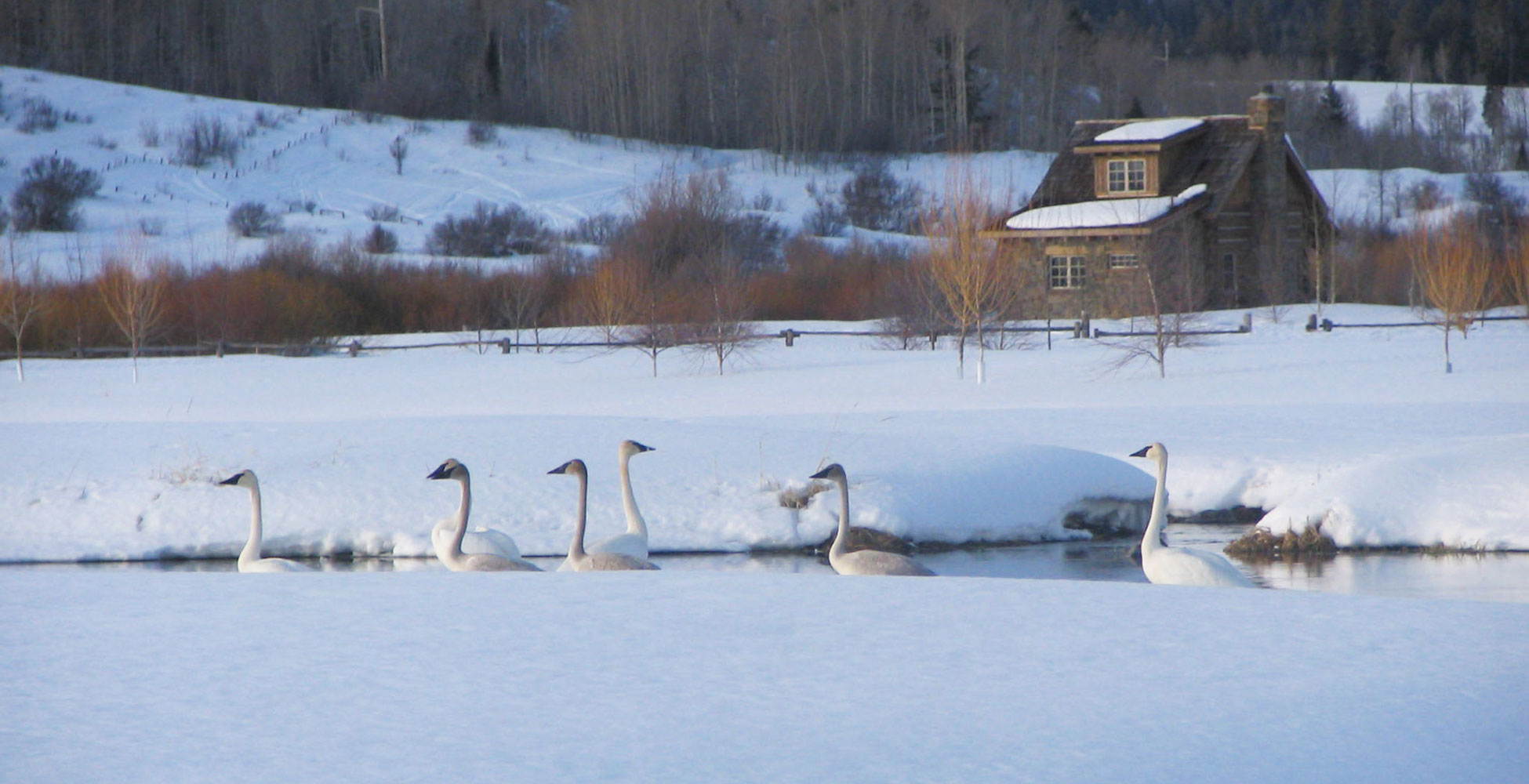 Double L Ranch Western Wyoming - The Double L Ranch